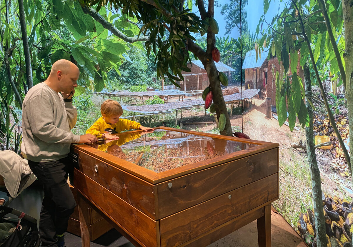 Children's Region | Where is Ringo’s dream house?