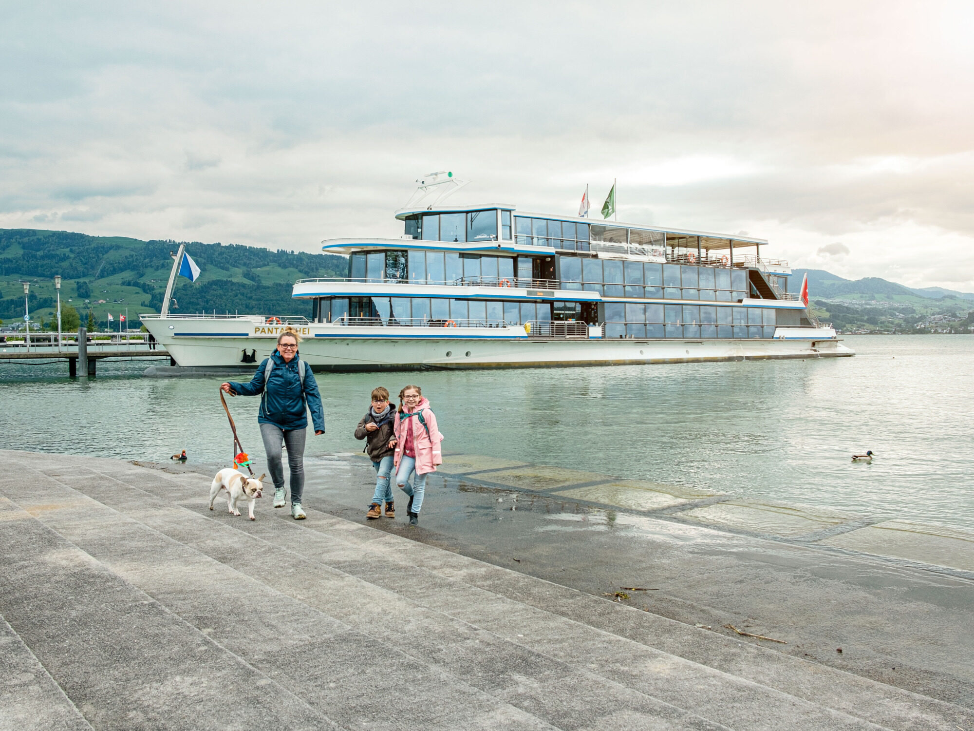 Where is Ringo’s dream house? | Kinderregion